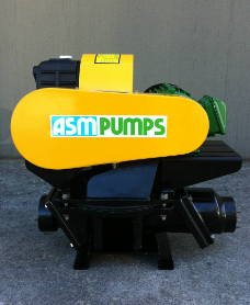 ASM Pumps | D SERIES